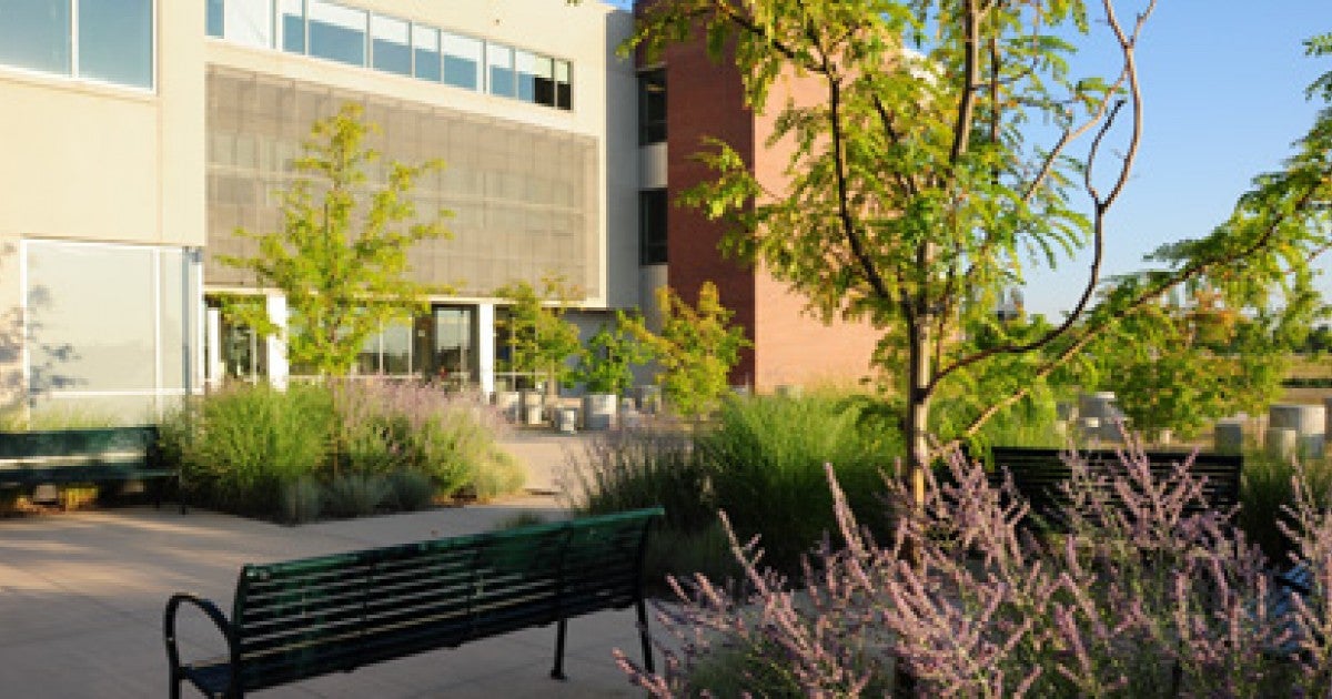 CWI maintains tuition and fees | CWI