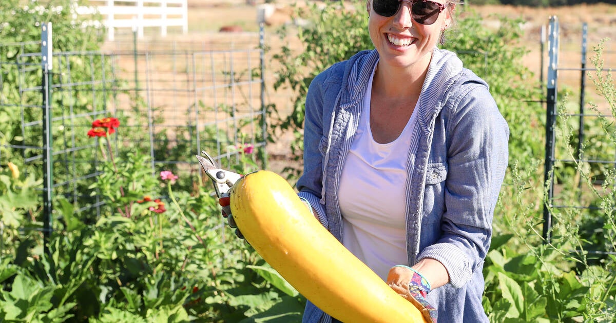 CWI Campus Garden Provides Valuable Resource to Students | CWI